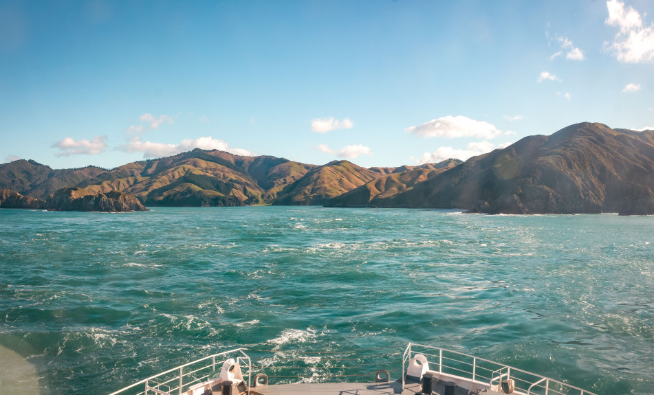 Smile through the seasickness - Interislander - Cook Strait Ferries