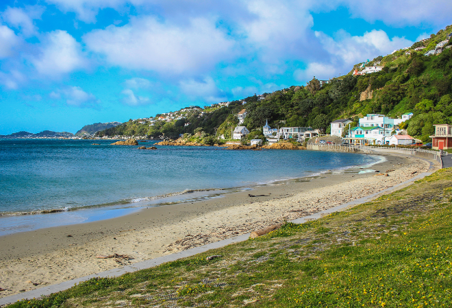 Your Wellington Must-See Checklist - Interislander - Cook Strait Ferries