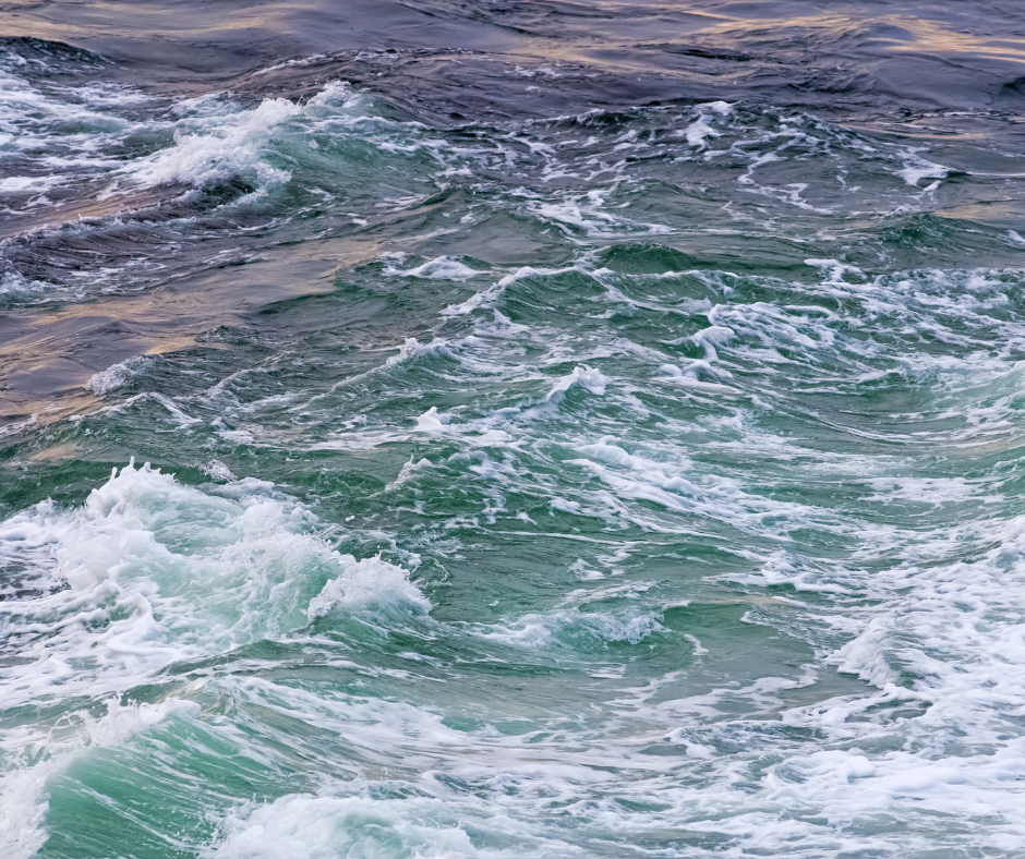 Cook Strait Weather: Everything You Need To Know - Interislander - Cook ...