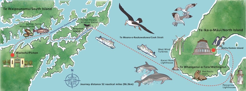 What you'll see on your journey - Interislander - Cook Strait Ferries